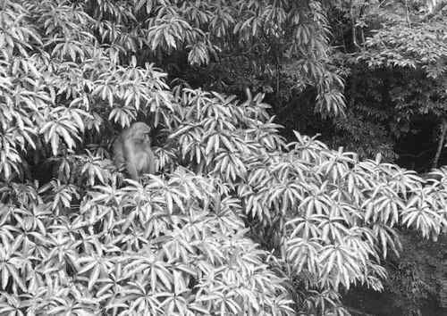 Artikel | Städtische Galerie Bremen